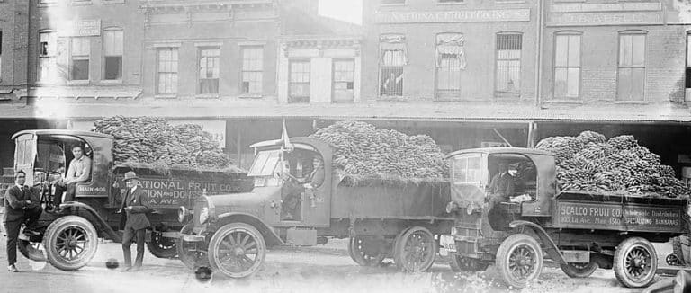 Banana Republics: The Bloody Legacy of The United Fruit Company ...