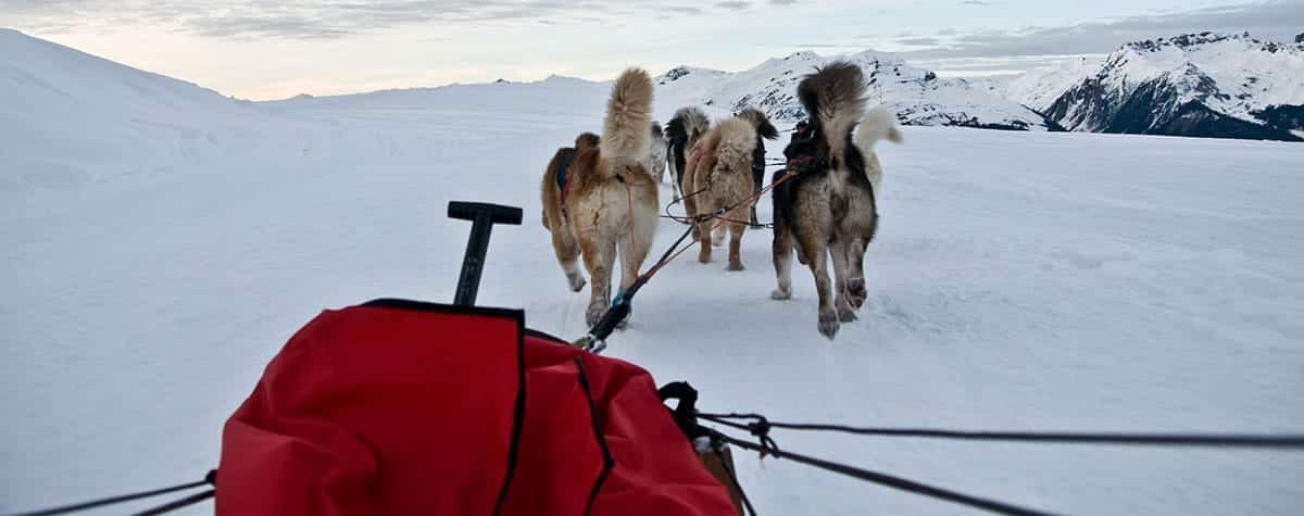 The First Expedition to The South Pole & What We Have Learned - History ...