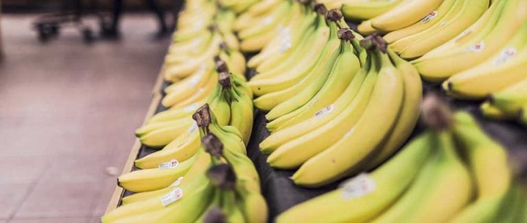 Banana Republics: The Bloody Legacy of The United Fruit Company ...