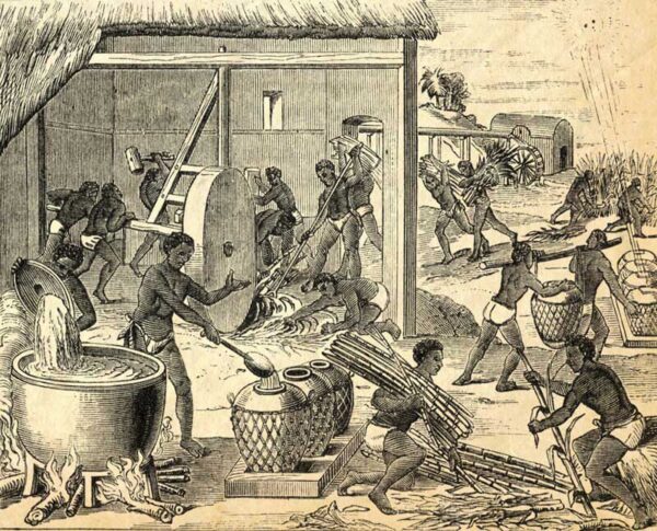 The Haitian Revolution and the First Black Republic - History Chronicler