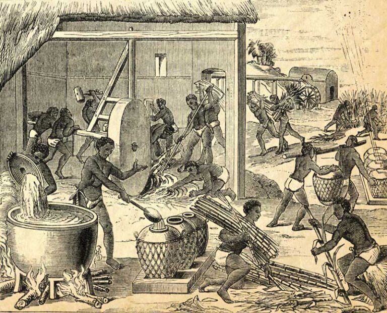 The Haitian Revolution and the First Black Republic - History Chronicler